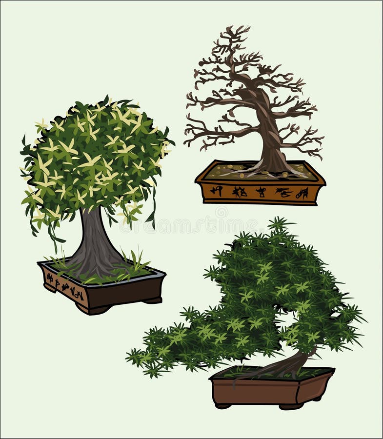 Bonsai trees vector set stock vector. Illustration of buddha - 44608776