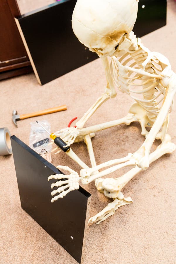Bony Skeleton Assembling a Black Wooden Shelf Stock Image - Image of ...