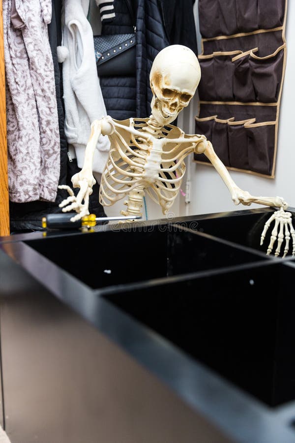 Bony Skeleton Assembling a Black Wooden Shelf Stock Photo - Image of ...