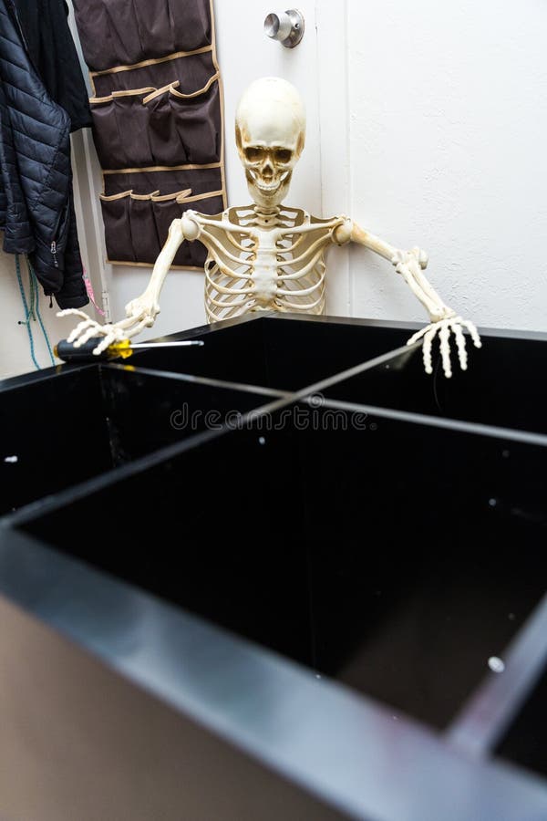 Bony Skeleton Assembling a Black Wooden Shelf Stock Photo - Image of ...