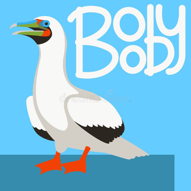 Cartoon Booby Stock Illustrations – 118 Cartoon Booby Stock ...