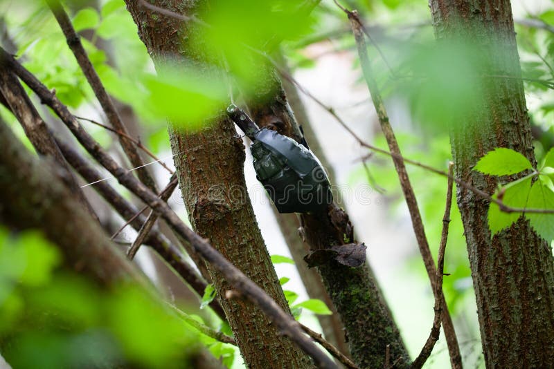 Booby Trap IED with Tripwire Stock Photo - Image of fragmentation, bomb ...