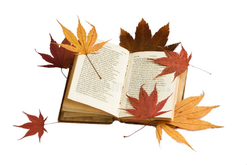 Book and autumn leaves stock photo. Image of read, learn - 6469026