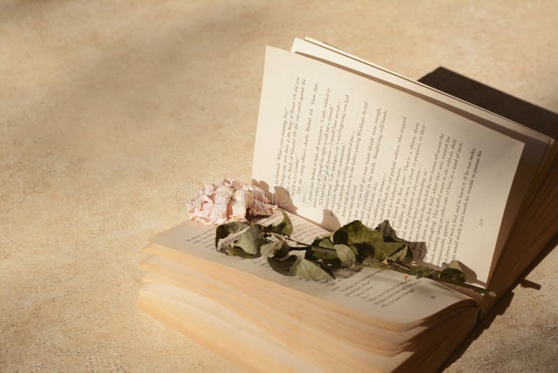 Book with Beautiful Dried Flower on Light Table Stock Image - Image of ...