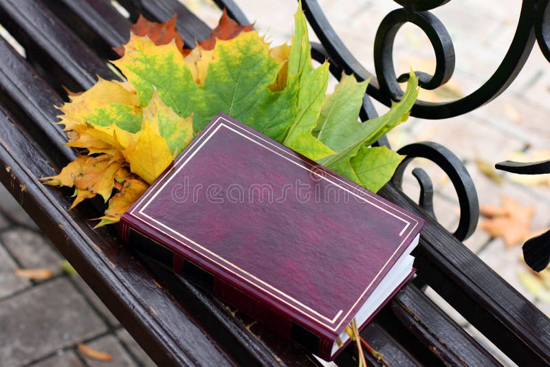 Book on a bench stock photo. Image of leaves, roman, autumn - 11888304