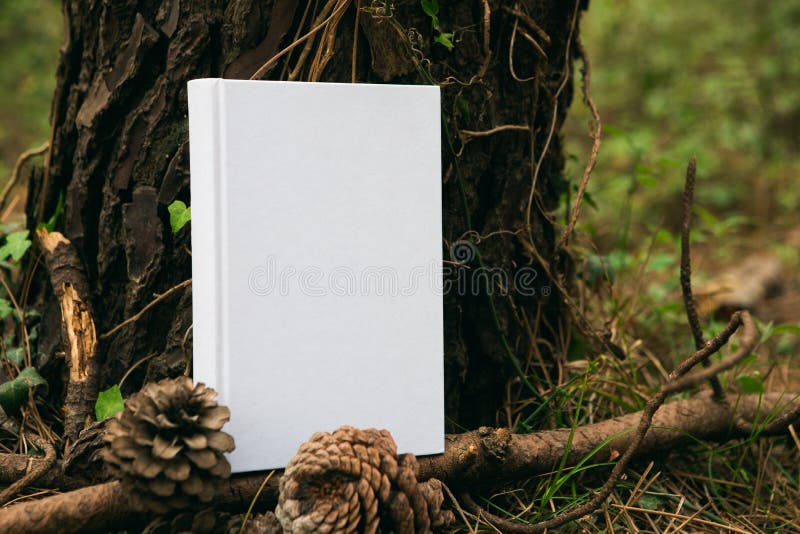 Book with Blank Cover and Empty Cover in a Forest Stock Image - Image ...