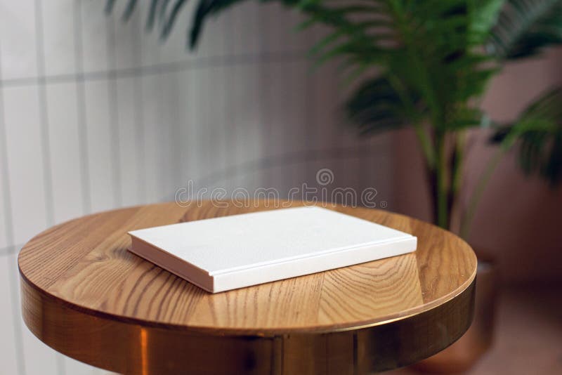 A Book with a Blank Empty Cover Mockup Template Stock Image - Image of ...