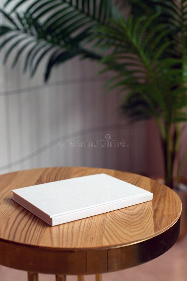 A Book with a Blank Empty Cover Mockup Template Stock Image - Image of ...