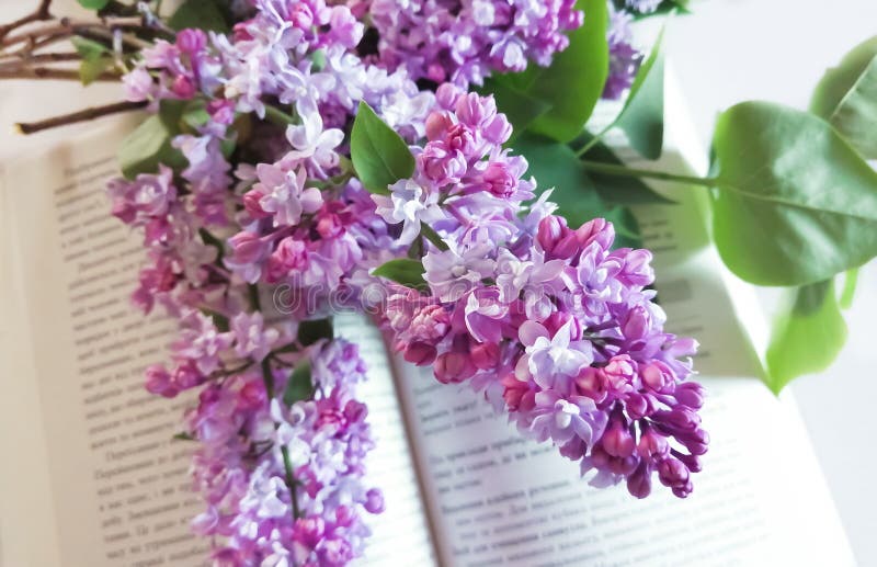 On the Book is a Branch of Lilacs. Lilac Flowers Lie on an Open Book ...