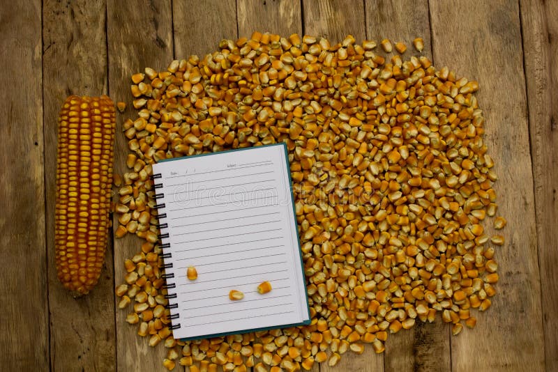 Book on corn stock photo. Image of background, grain - 83314740