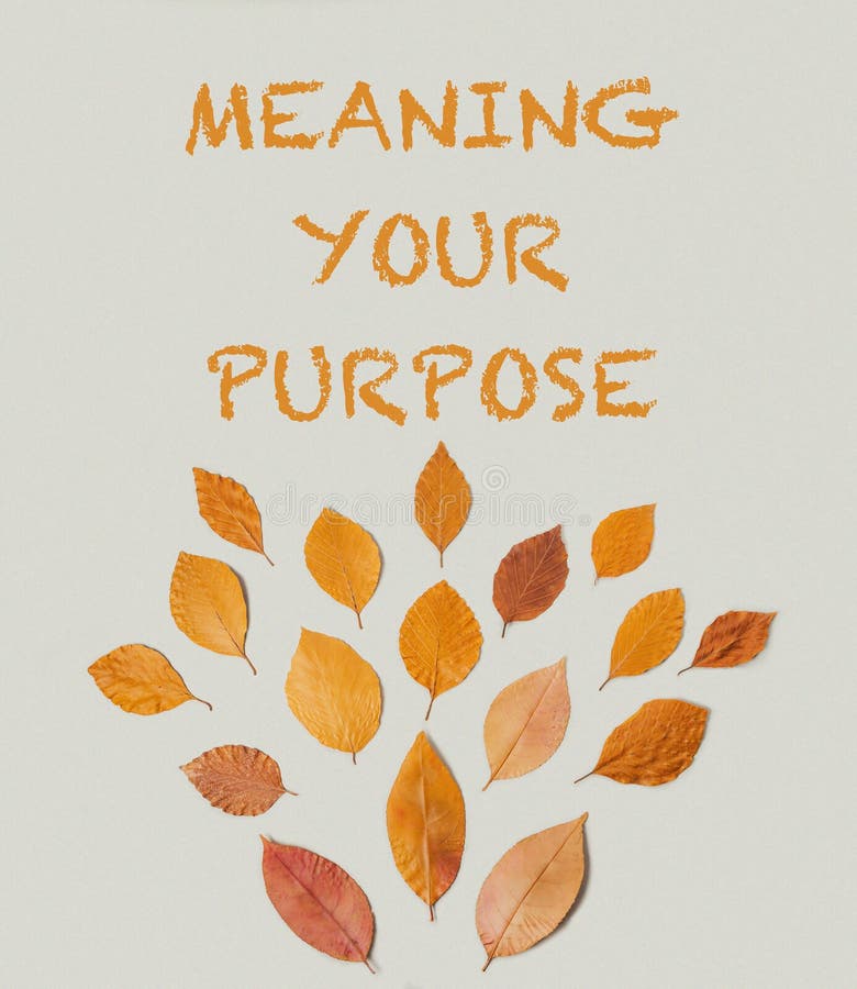 Book Cover with Leaves and the Words Meaning Your Purpose Stock Photo ...