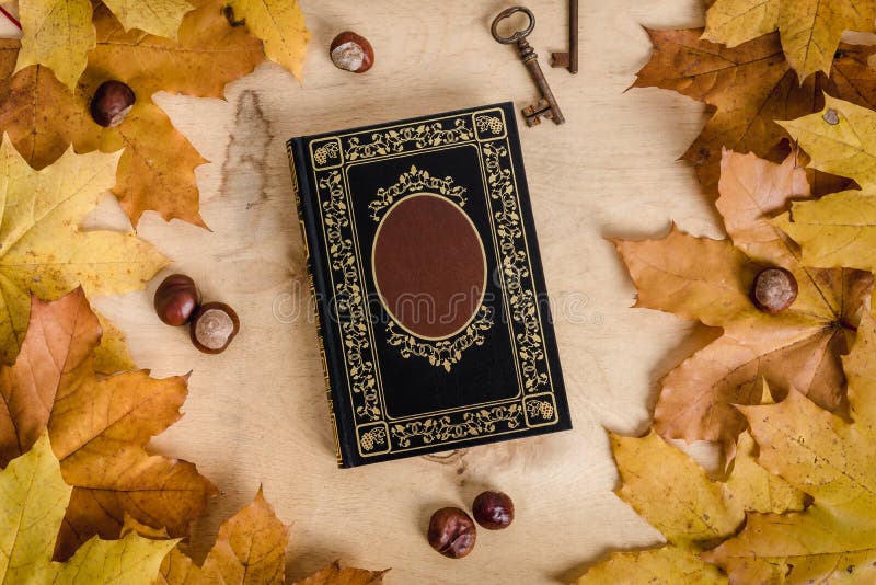 Book and Dry Leaves on the Table Stock Photo - Image of fall, chestnut ...