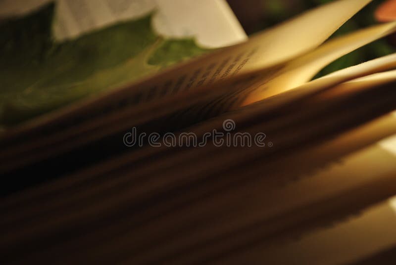Book Pages in the Lamplight Stock Image - Image of book, read: 178820087