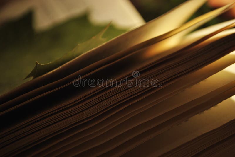 Book Pages in the Lamplight Stock Image - Image of book, read: 178820087