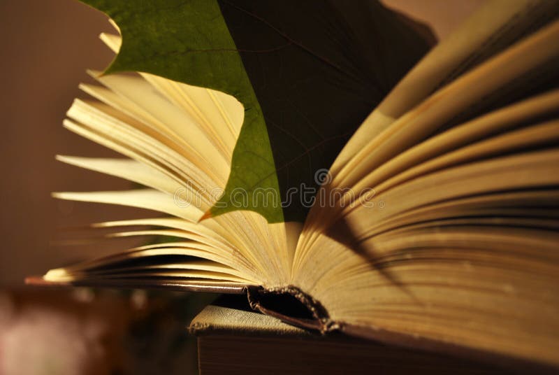 Book Pages in the Lamplight Stock Image - Image of book, read: 178820087