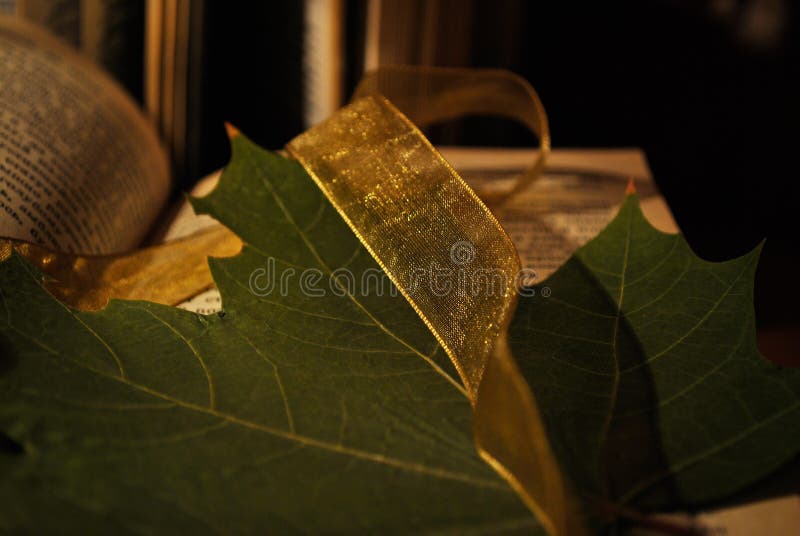 Book Pages in the Lamplight Stock Image - Image of book, read: 178820087