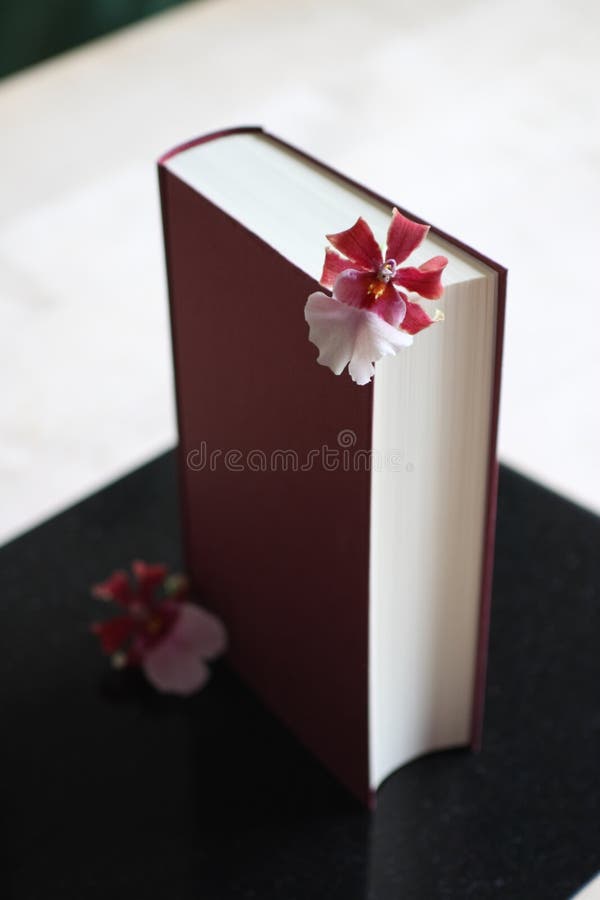 Book With Flower Picture. Image: 3006898