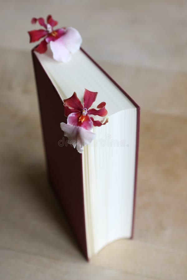 Book with flower stock image. Image of modern, reading - 3007041