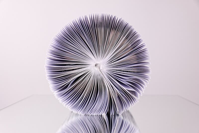 A Book with Folded Pages Presents Itself As an Analogue Store of ...