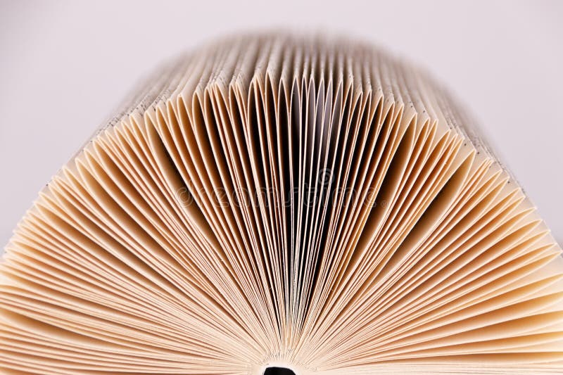 A Book with Folded Pages Presents Itself As an Analogue Store of ...