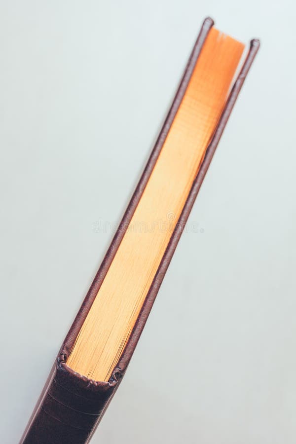 A Book with a Gilded Edge on a Light Gray Background, Top View Stock ...