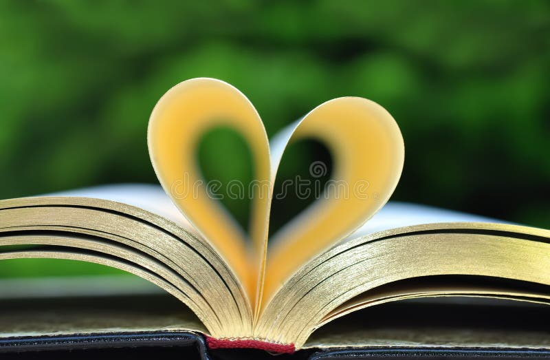 Book with Golden Pages on Table with Pages Forming Heart Stock Photo ...
