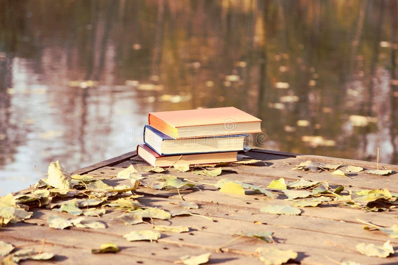 Book on a Ground Near Lake. Knowledge is Power. Education ...