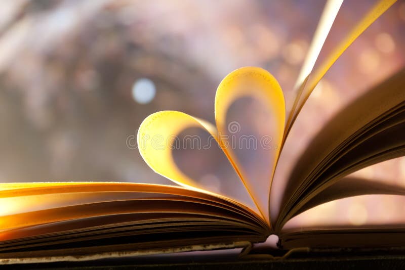 Book heart concept. stock photo. Image of love, page - 29161120