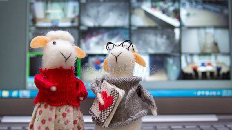 A Sheep Model Wearing Clothes Looking at a Program in Front of a ...
