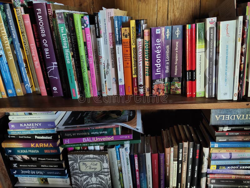 A Knowledge Library. Happy Kid Hold School Book. Library Reader ...