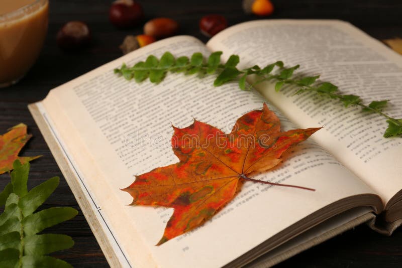 Book with Leaves As Bookmark on Wooden Table, Closeup Stock Photo ...