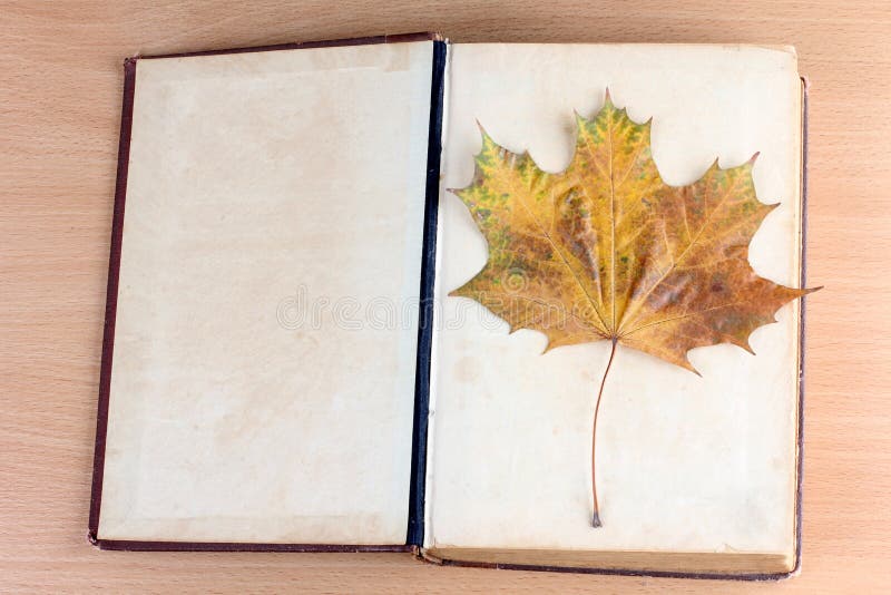 Book and maple leaf stock photo. Image of dirty, open - 21402068