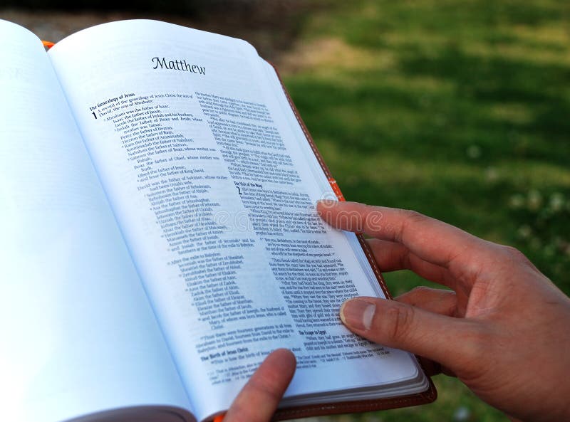 Book of Matthew - Reading Bible Stock Photo - Image of close, bible ...