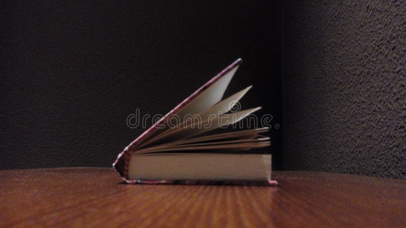 Book notebook lecture stock photo. Image of reading, book - 50154144