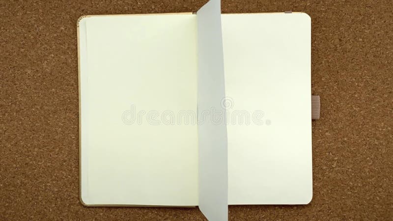 Open Blank Scroll Spinning on Studio Purple Background Stock Video ...