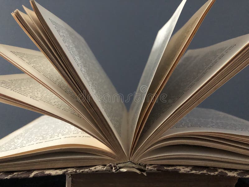 Book stock image. Image of open, read, knowledge, pages - 202583573