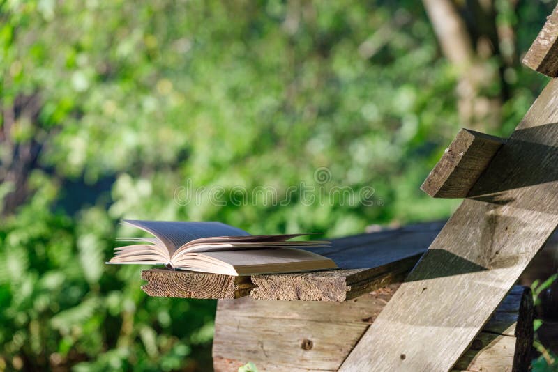 Open Book on a Wooden Bench Outdoor. Forest Background with Sun Glare ...