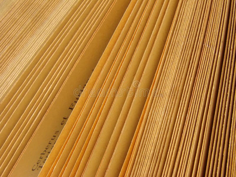 Book pages 3 stock image. Image of heritage, culture, literature - 3936183