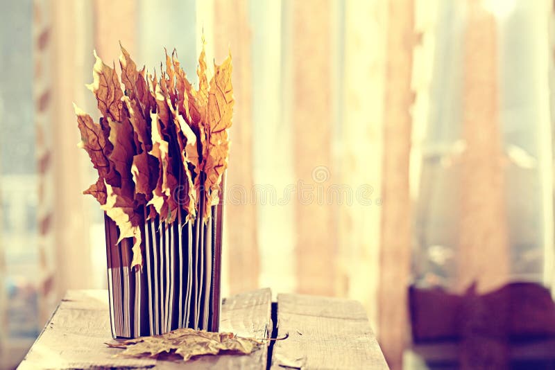 Book Pages with Dry Maple Leaves Stock Image - Image of life, foliage ...