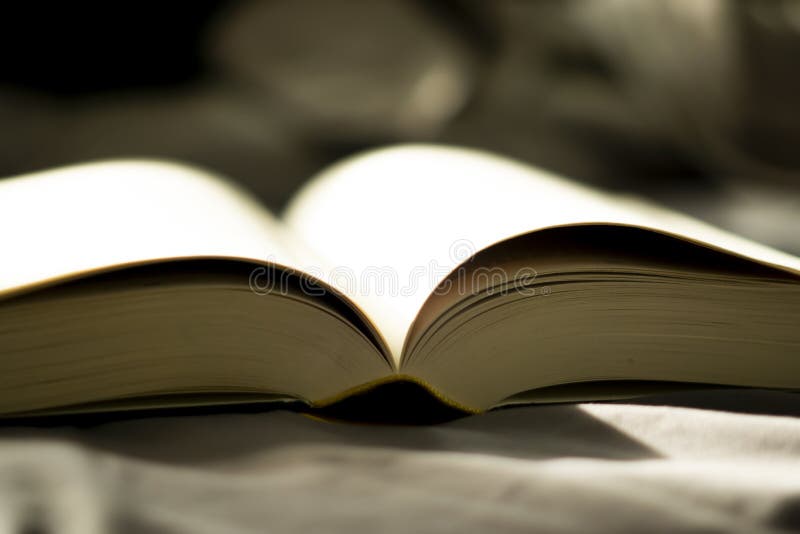 Book pages without text stock photo. Image of textbook - 214181656