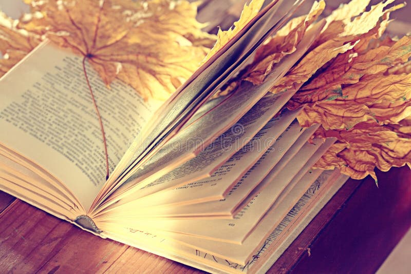 Book pages yellow leaves stock image. Image of knowledge - 56949001
