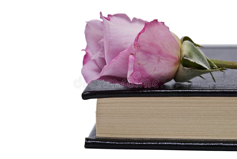 A book and a rose. stock image. Image of bind, paper - 12546465