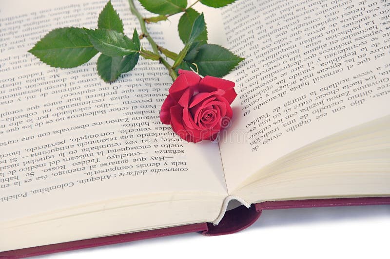 Book and rose. stock image. Image of single, petal, revival - 9421705