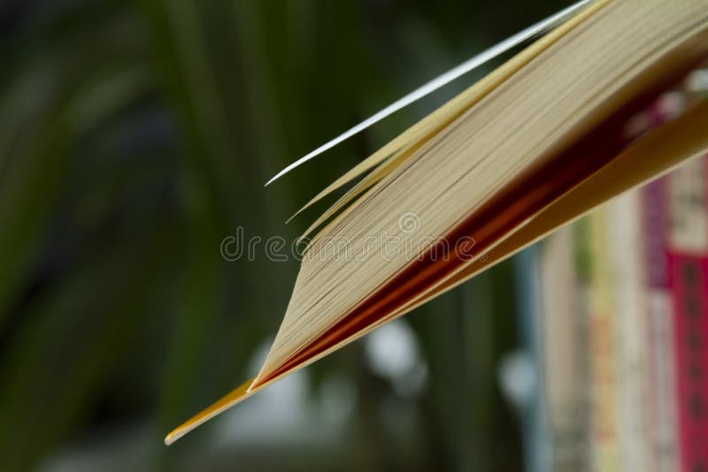Book on the Shelf Close Up. Book Texture Stock Image - Image of 2021 ...