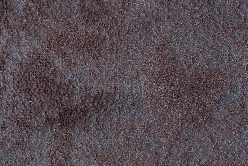 Book shell texture stock photo. Image of shell, literature - 86567568