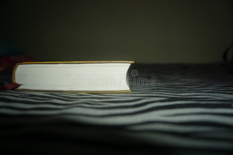 Book of Side View in this Image Stock Image - Image of fairy, hardcover ...