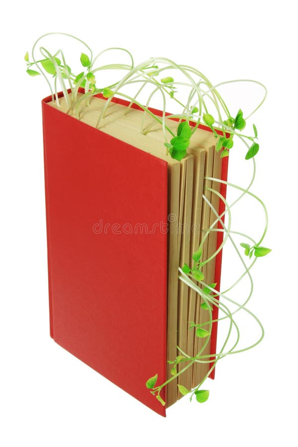 Book and Snow Pea Sprouts stock photo. Image of knowledge - 31767654