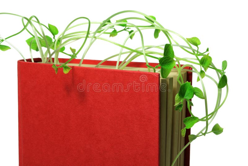 Book and Sprouts stock image. Image of sprouts, ideas - 54950409