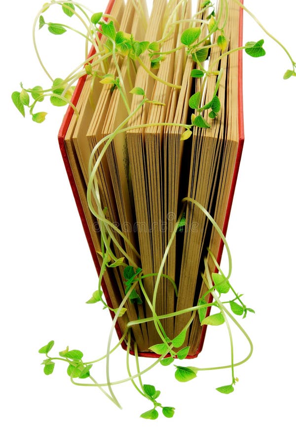 Book and Sprouts stock photo. Image of gardening, progress - 54950422