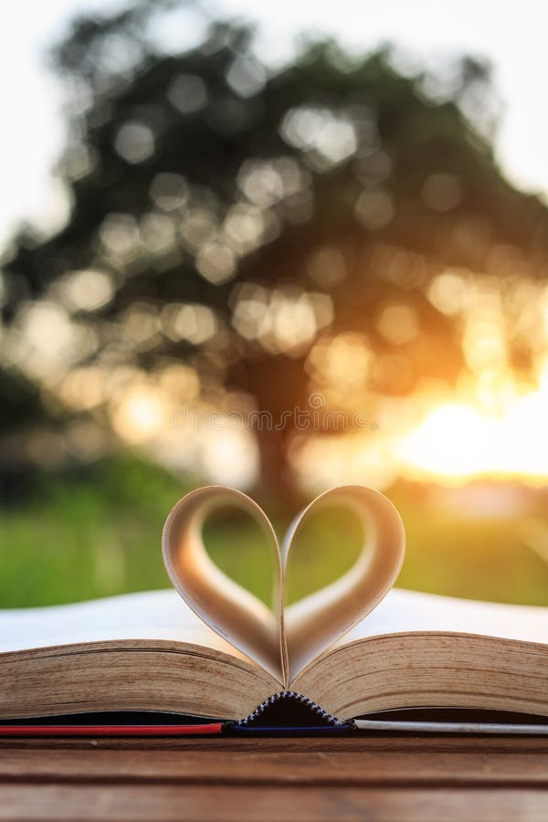 Book on Table in Sunset Time Stock Photo - Image of sunset, textbook ...